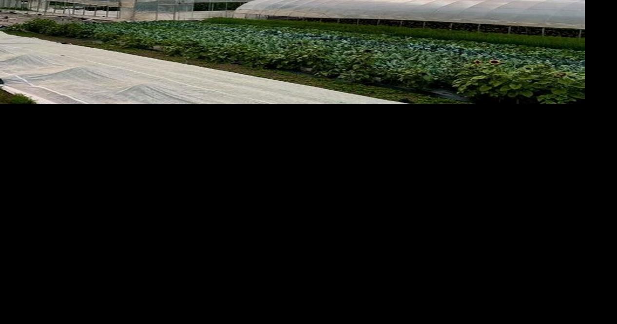 Support local small farm agriculture | Columns | mymalonetelegram.com