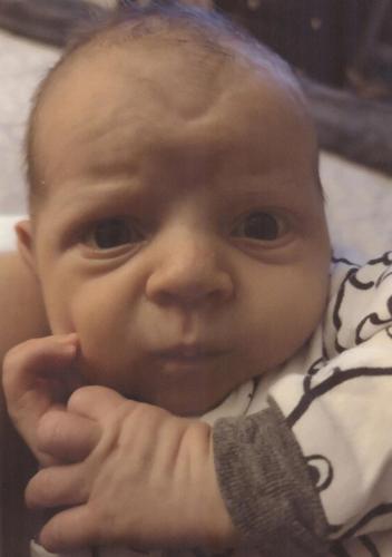 Stephanie Niles's Instagram, Twitter & Facebook on IDCrawl