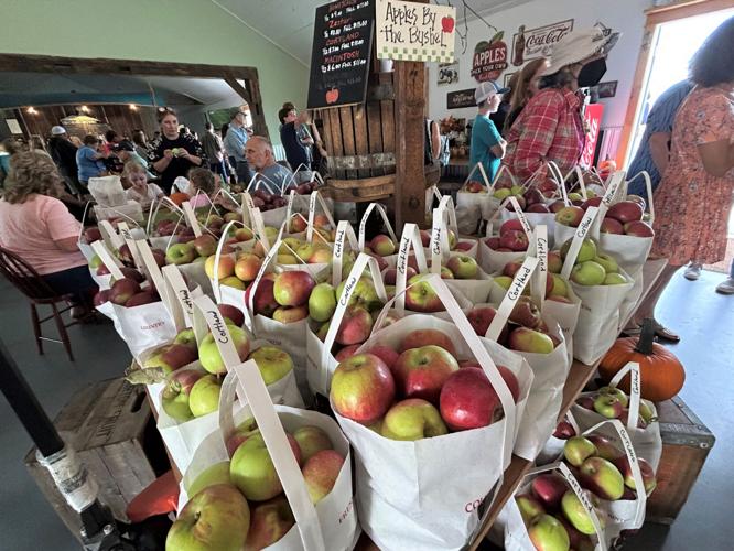 A day at the orchard | | mymalonetelegram.com