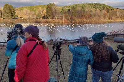 Gee-see viewing event | Top Stories | mymalonetelegram.com