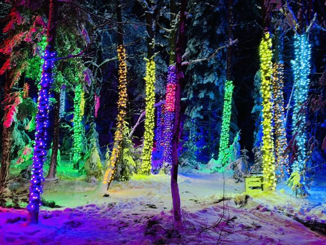 Light spectacle returns to Franklin County attraction The Wild Center’s ...