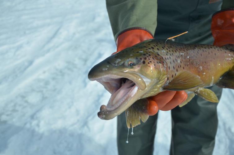 Colby Classic fishing derby returns to Franklin County | Top Stories ...