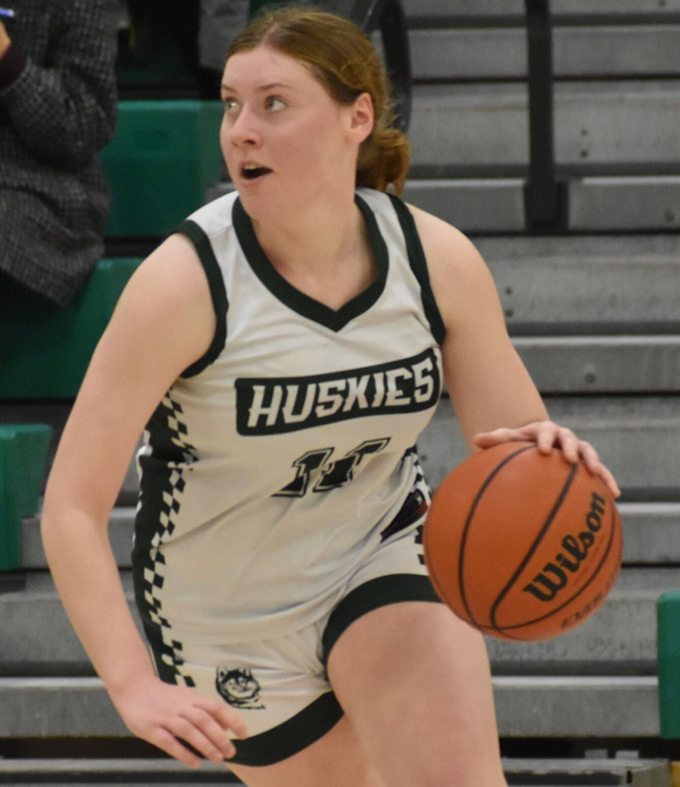 Local girls honored with NAC recognition; Bulldogs, Huskies, Panthers ...