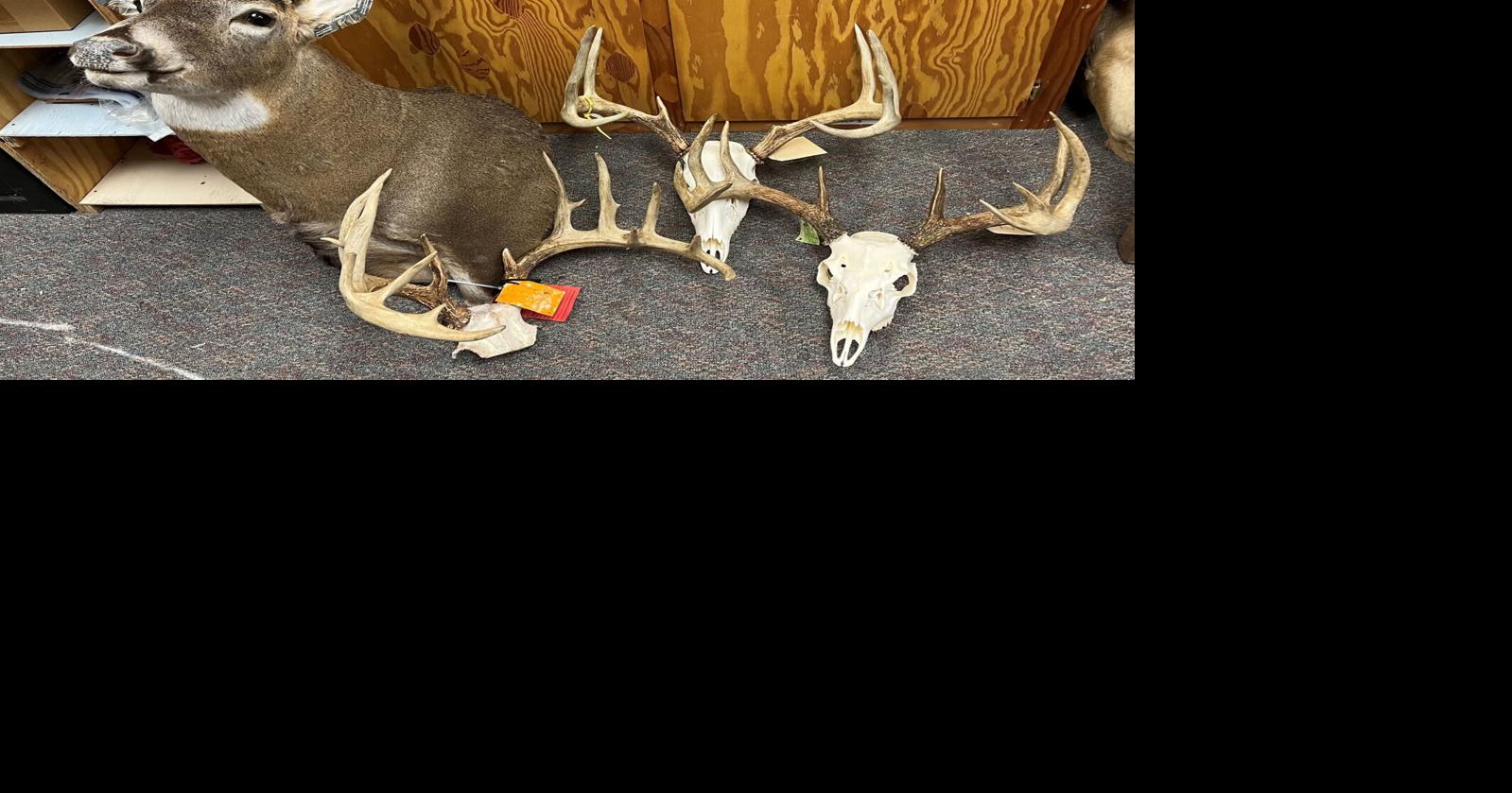 Deer poacher convicted after two-year DEC investigation | Top Stories | mymalonetelegram.com