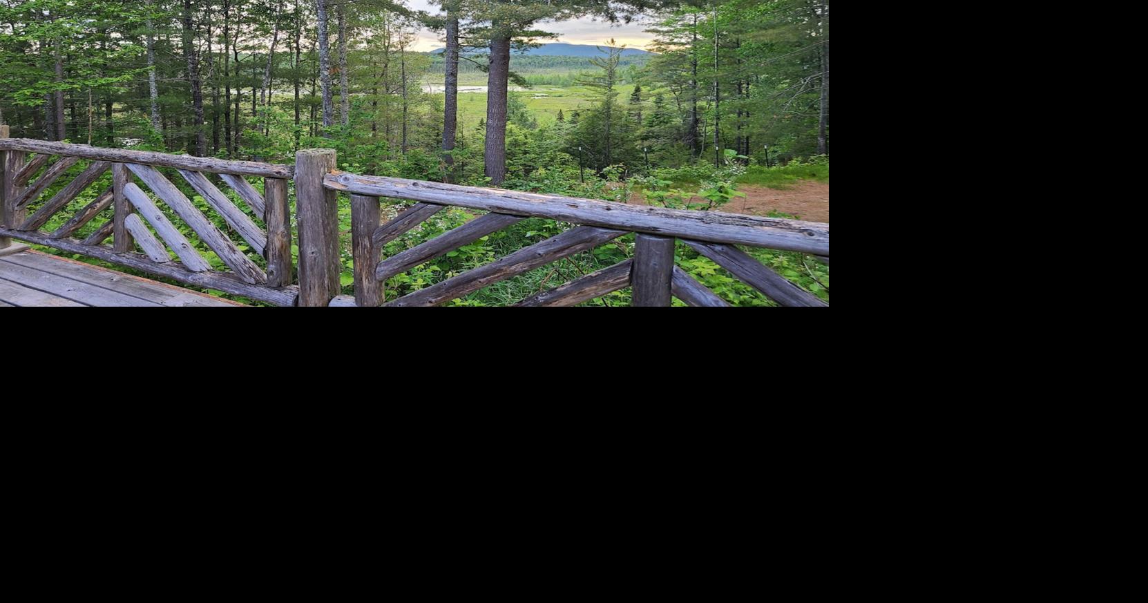 First nature fest for people with disabilities slated Sept. 7 at Paul ...