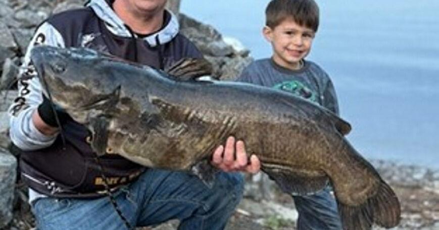 DEC announces first state record fish in 2025 | Top Stories ...