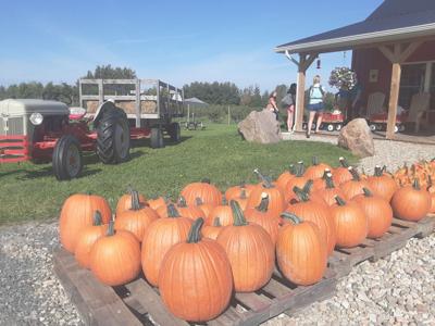 Painters and musicians to welcome fall Saturday at Prairie’s Orchard ...