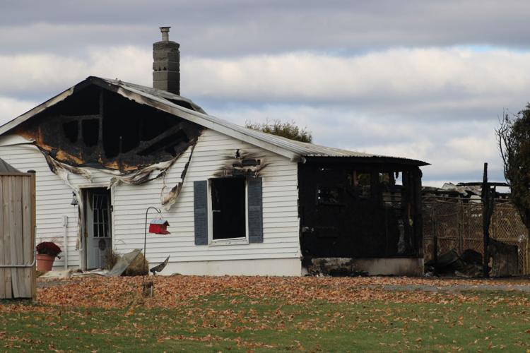Dogs killed in fire at kennel in Canton | Top Stories ...