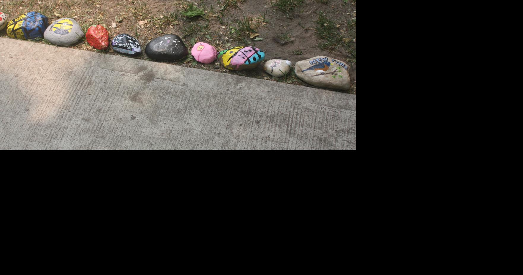 Community rock snake takes shape in Arsenal Green | Top Stories ...