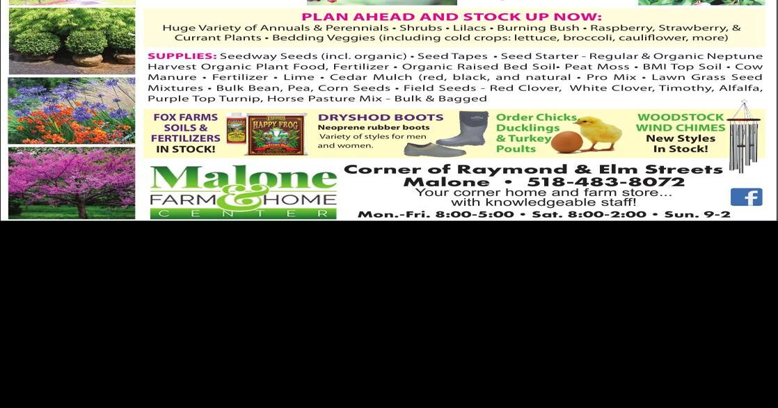 Malone Farm & Home Center: The Garden Center is in Full Bloom | Landing ...