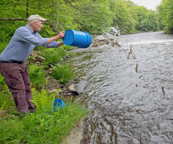 Fish stocking for Malone tourney | Top Stories | mymalonetelegram.com