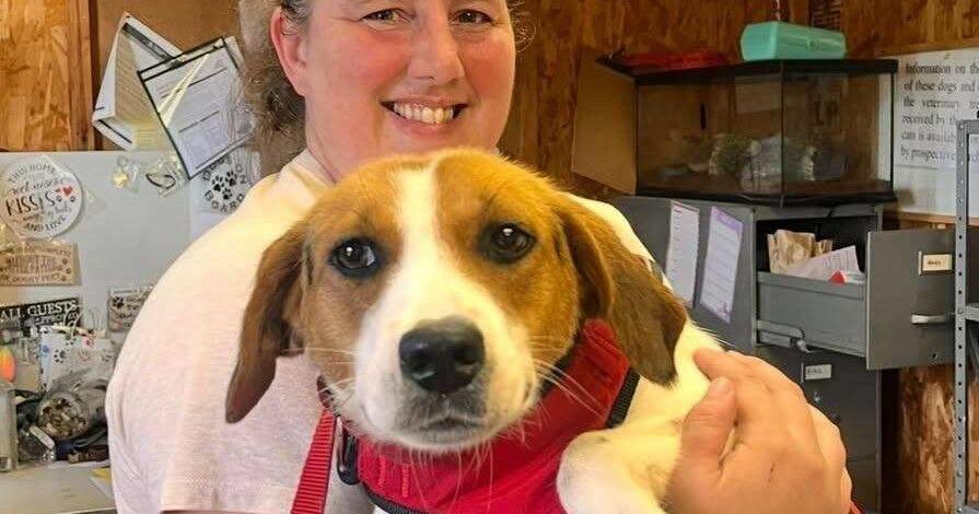 Bangor animal shelter awarded 500K; state grant funds will help ...