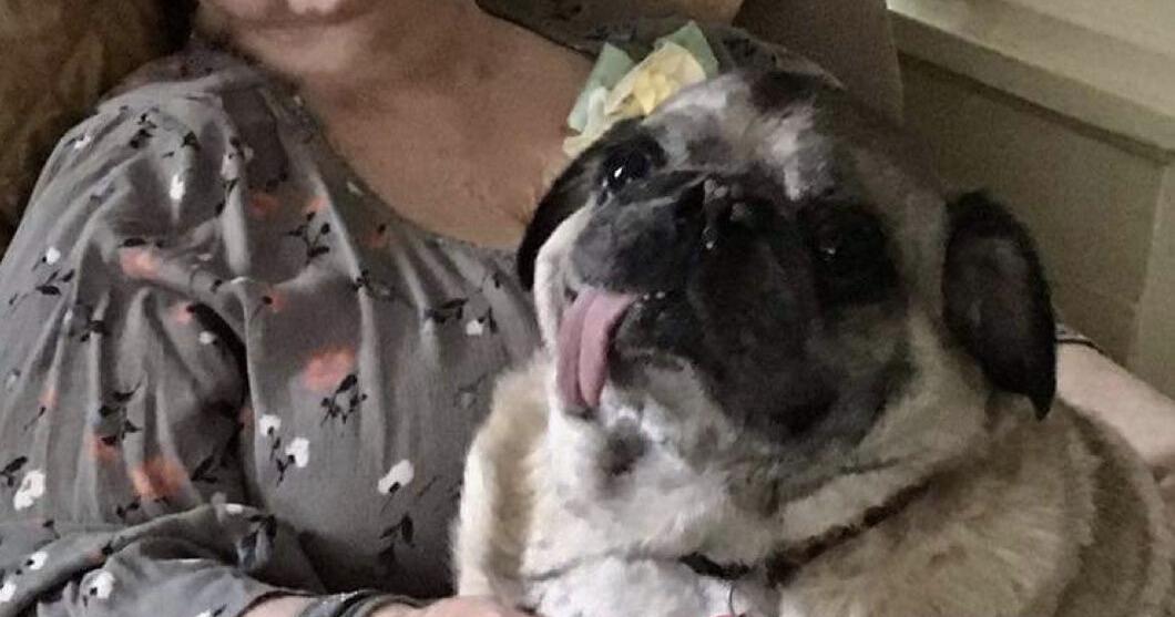 Susan Marie Newstead | Obituaries | mymalonetelegram.com