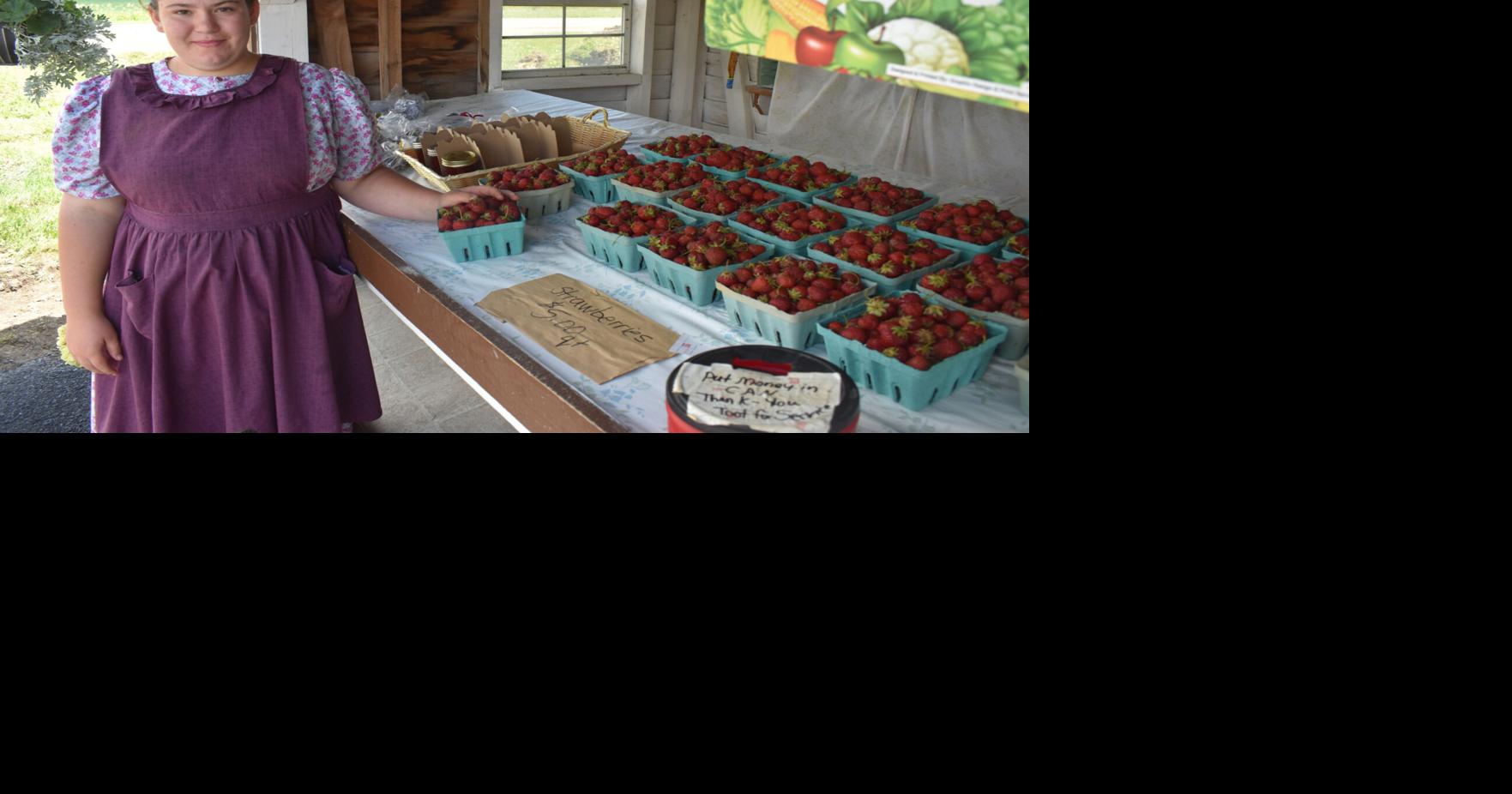 Berry good strawberry season | Top Stories | mymalonetelegram.com