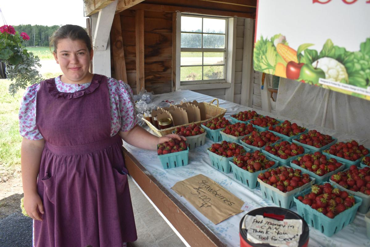 Berry good strawberry season | Top Stories | mymalonetelegram.com