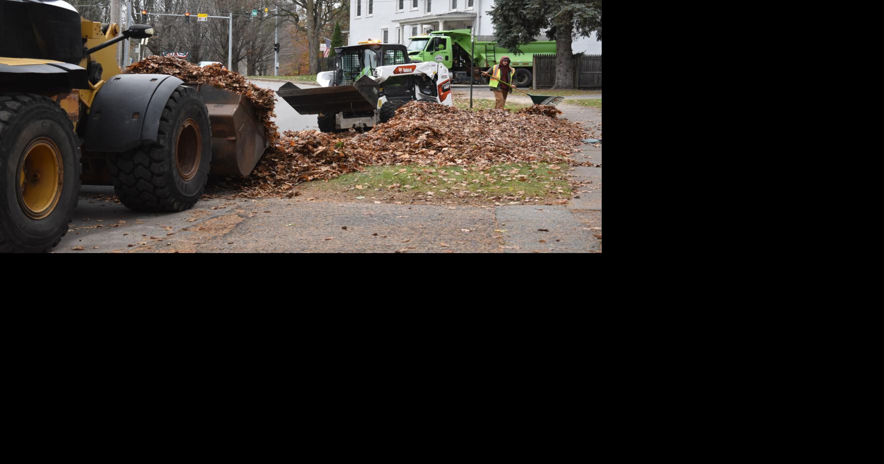 A well-organized village leaf gathering operation | Top Stories ...