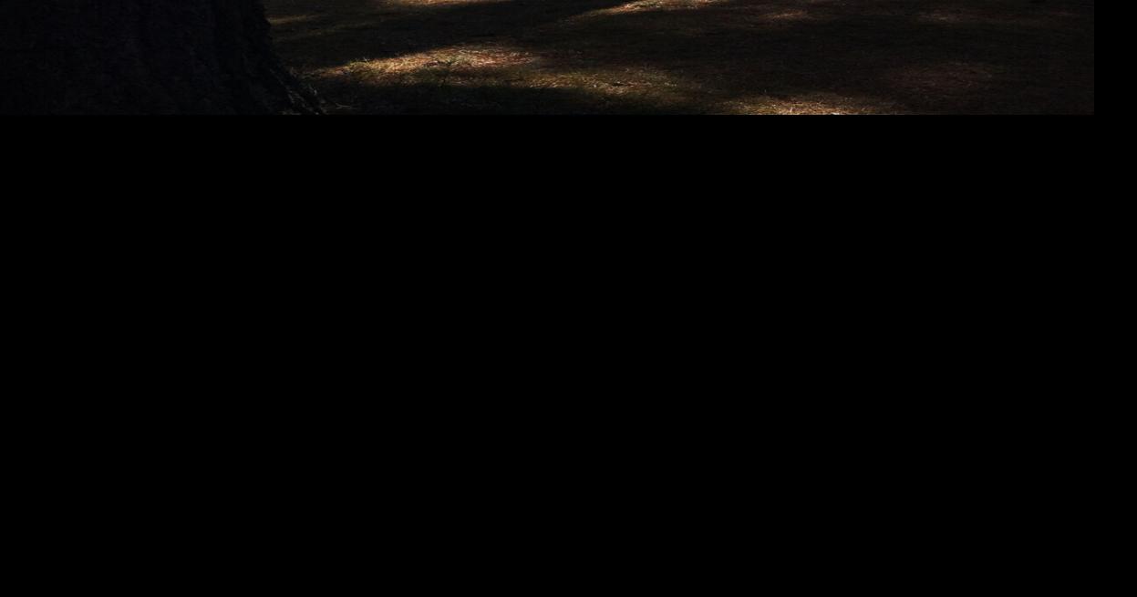 Points made for and against removal of lodge at Debar Pond | Top ...