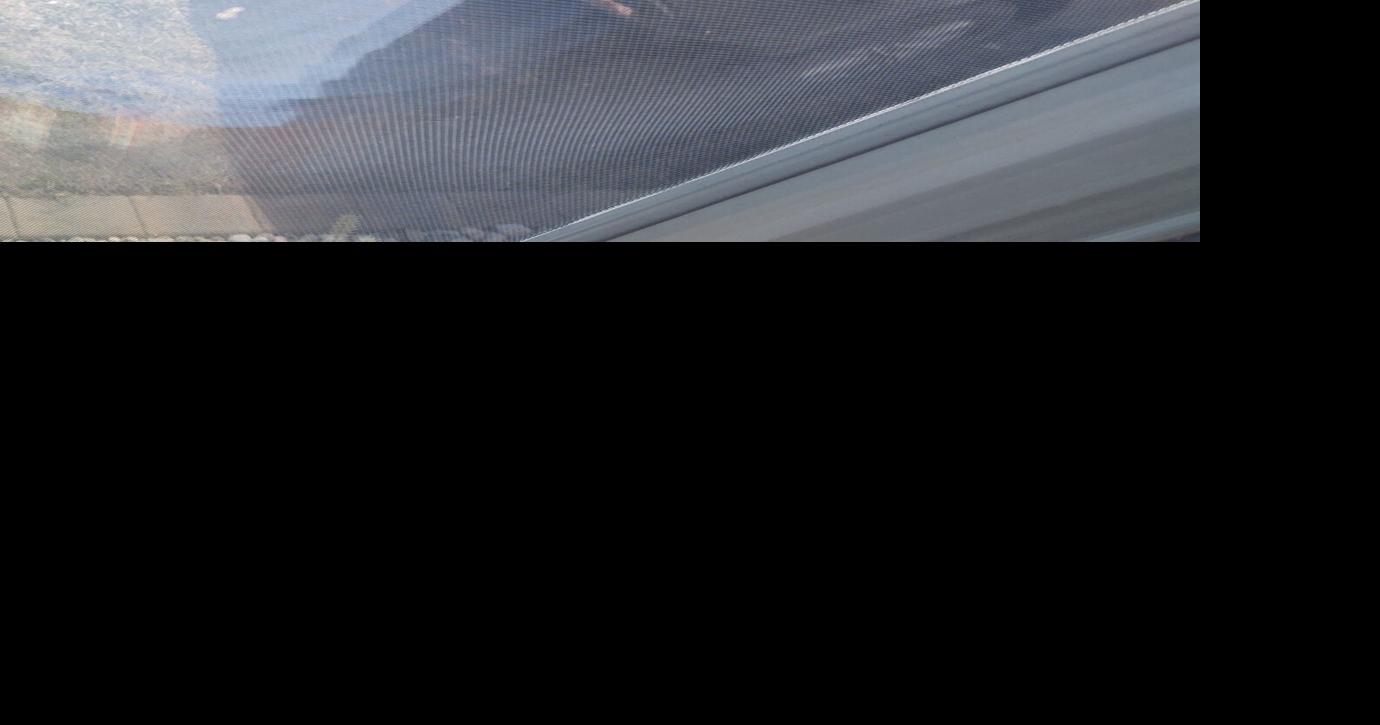 Border Patrol involved in high speed chase, agency releases no info ...