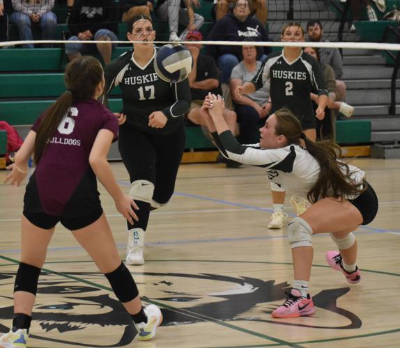 Bulldogs spikers sweep Huskies in volleyball action | Local Sports ...