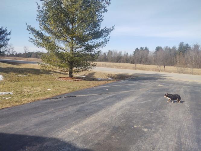 Border Patrol involved in high speed chase, agency releases no info ...