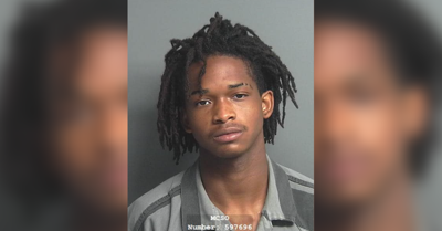 Suspect arrested near Houston for vehicle burglary and weapon charge ...