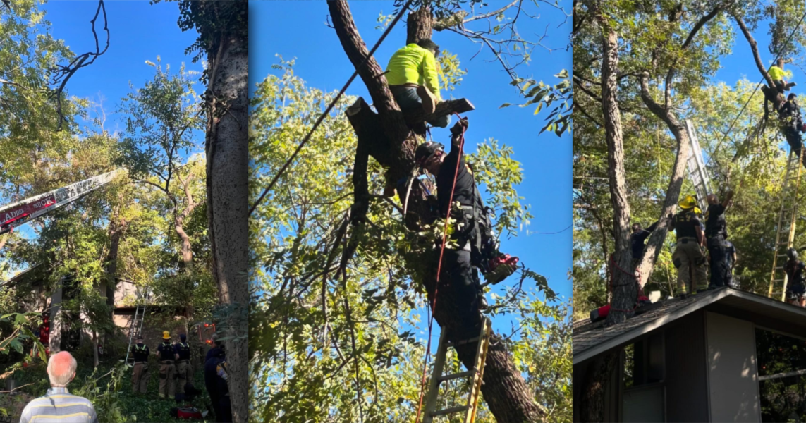 Dallas Fire-Rescue USAR team rescues tree trimmer trapped in branches ...