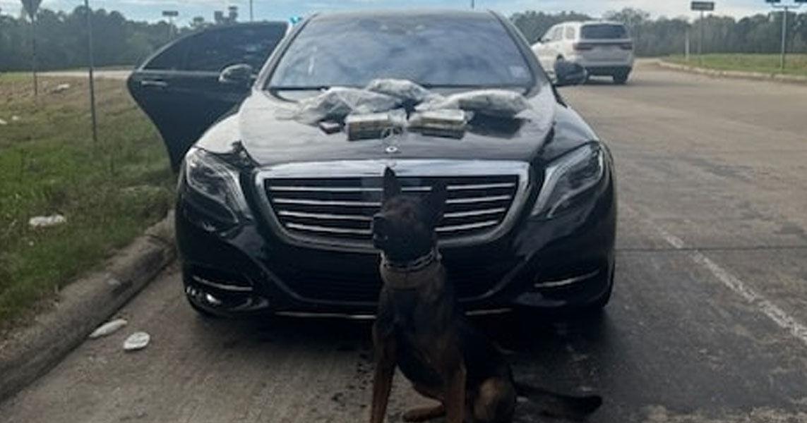 Kilgore police K9 goes viral after major drug bust | East Texas ...