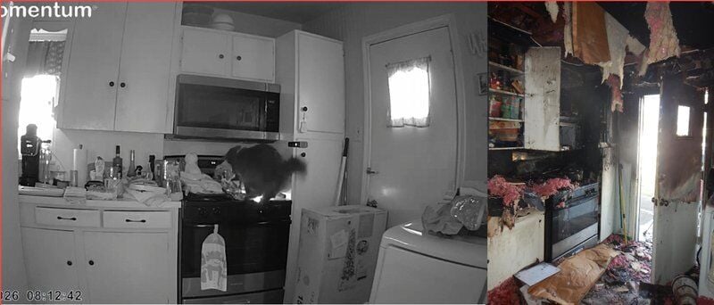 VIDEO: Cat accidentally starts house fire in North Texas, prompting ...