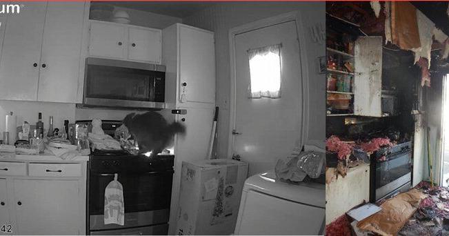 VIDEO: Cat accidentally starts house fire in North Texas, prompting ...