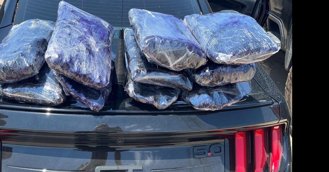 Major drug bust on US 75 in north Texas leads to arrest of Houston man ...