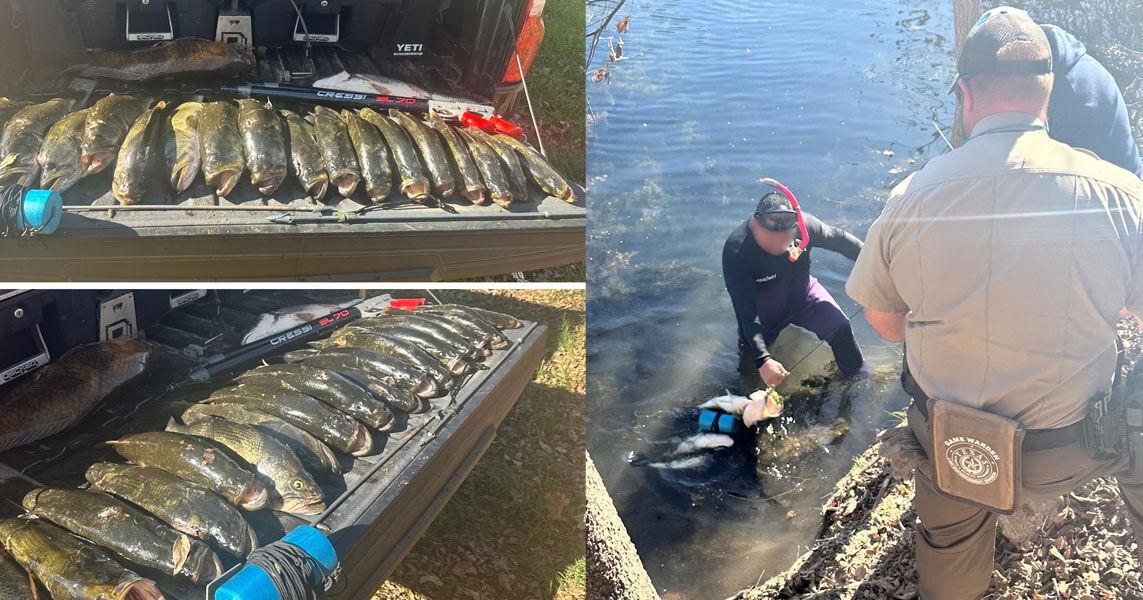 Texas game wardens seize illegal catch of black bass at Lady Bird Lake ...