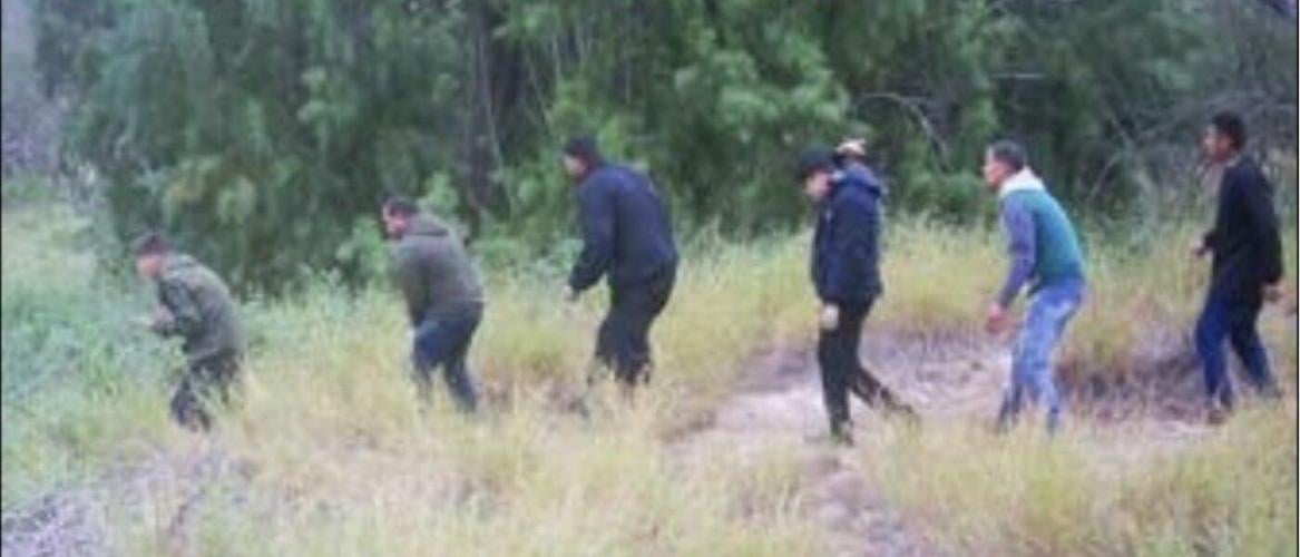 Texas Department of Public Safety reports significant monthly results ...