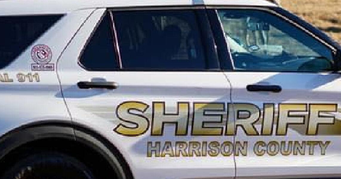 Horses, theft, and traffic violations keep East Texas deputies busy ...