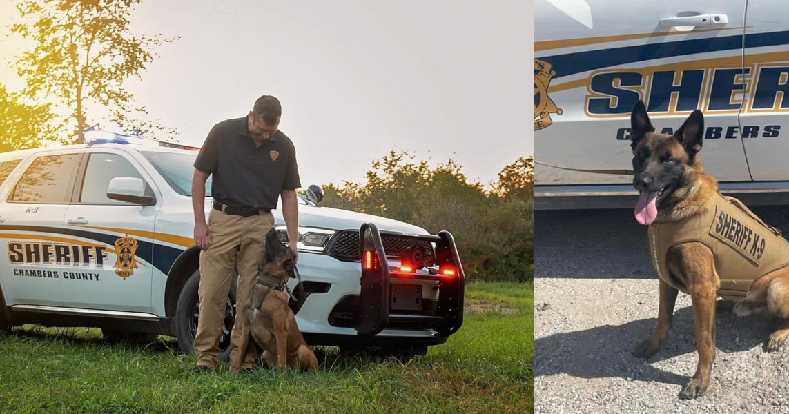 Chambers County introduces K9 Stark, the newest four-legged ...