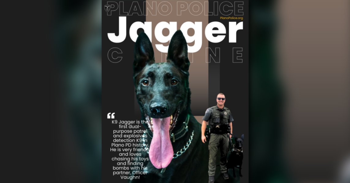 Plano police introduce K9 Jagger: New explosives detection dog enhances ...