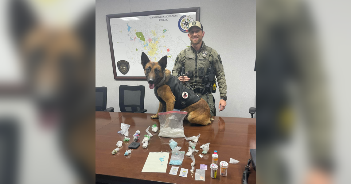 K9 Niko assists in Austin traffic stop leading to narcotics seizure ...