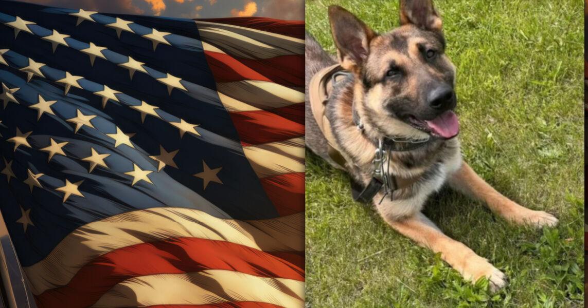 Alton Police Department mourns the loss of K9 Odin, who was killed in ...