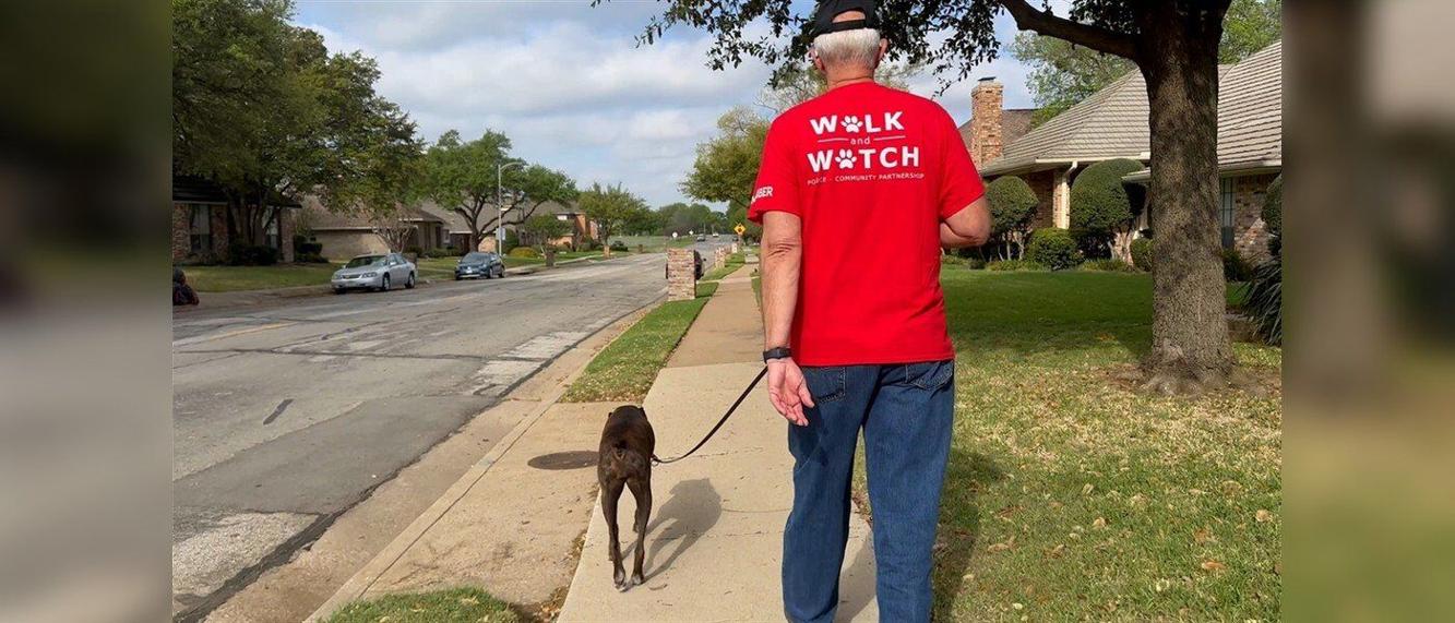 Dog Walker Watch program promotes safety and community engagement ...