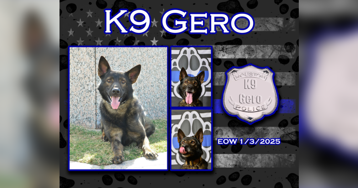 Houston Police Department honors K9 Gero's legacy after nearly nine ...