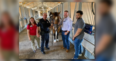 Houston Police engage community with Positive Interaction Program ...