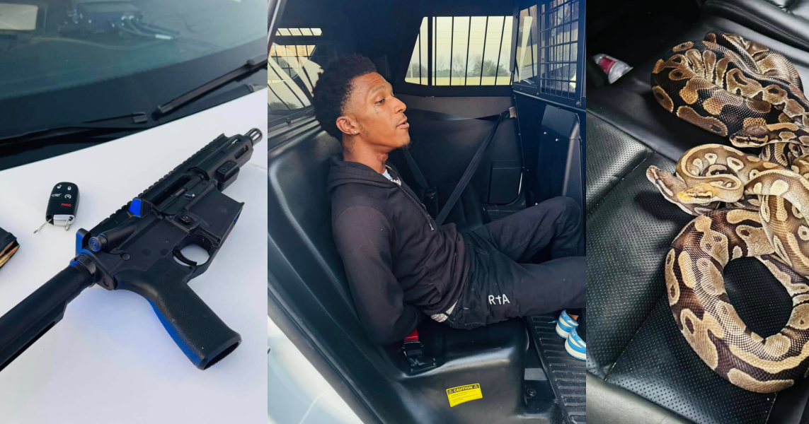 Man arrested with pythons, firearm, and narcotics during traffic stop ...