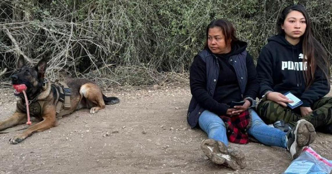 Texas DPS K9 team rescues abandoned immigrants in South Texas | South ...