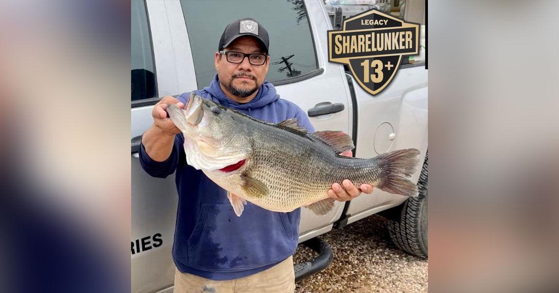 Texas Angler Catches Same ShareLunker Fish Twice in Two Years ...