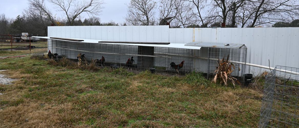 SPCA of Texas aids in removal of approx. 140 animals during Kaufman ...