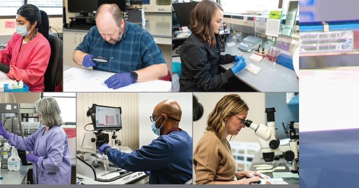 Texas Department of Public Safety celebrates National Forensic Science ...