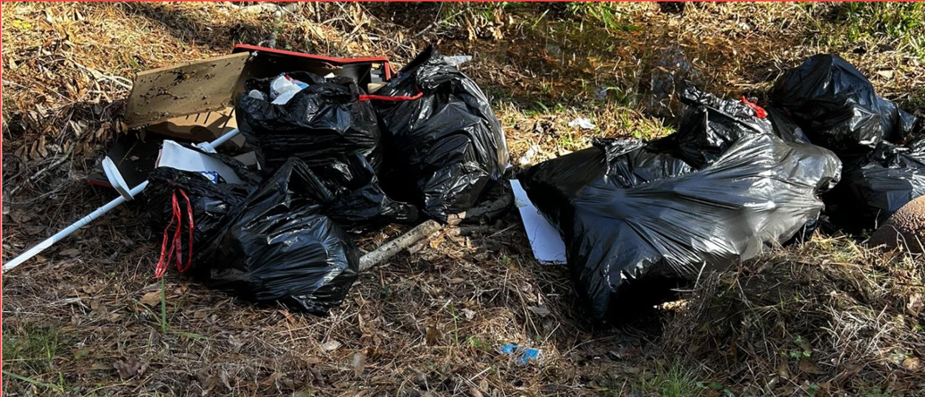 Jasper County woman cited for illegal dumping | North Texas ...
