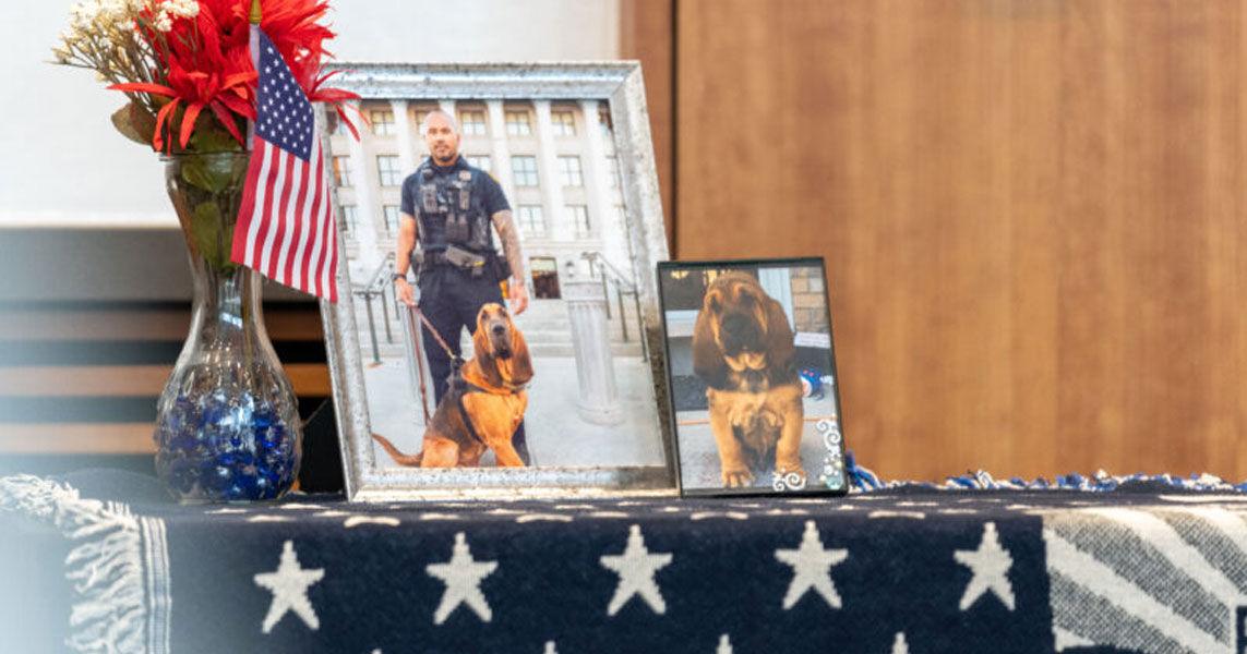 Salt Lake City police department honors K9 Bruce with end of watch ...