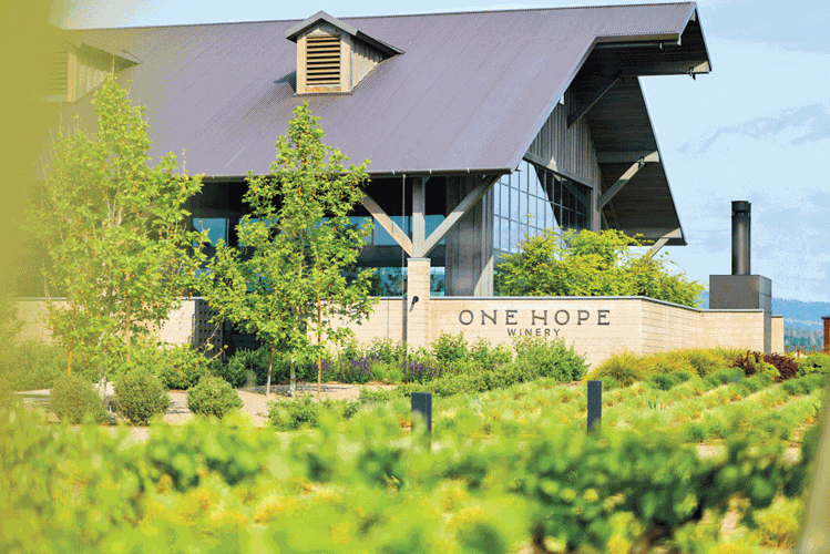 Driven to Donate: Philanthropy in Wine Country | People ...