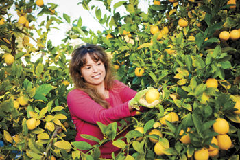Meet the Lemon Lady | | napasonomamagazine.com