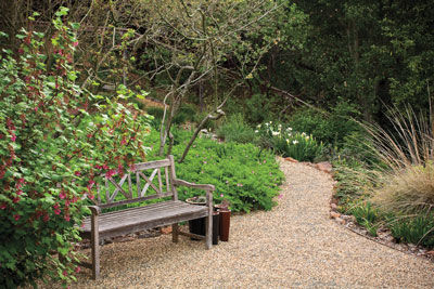 Going Native | | napasonomamagazine.com